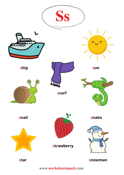 Words Begin With The Letter S Worksheetspack