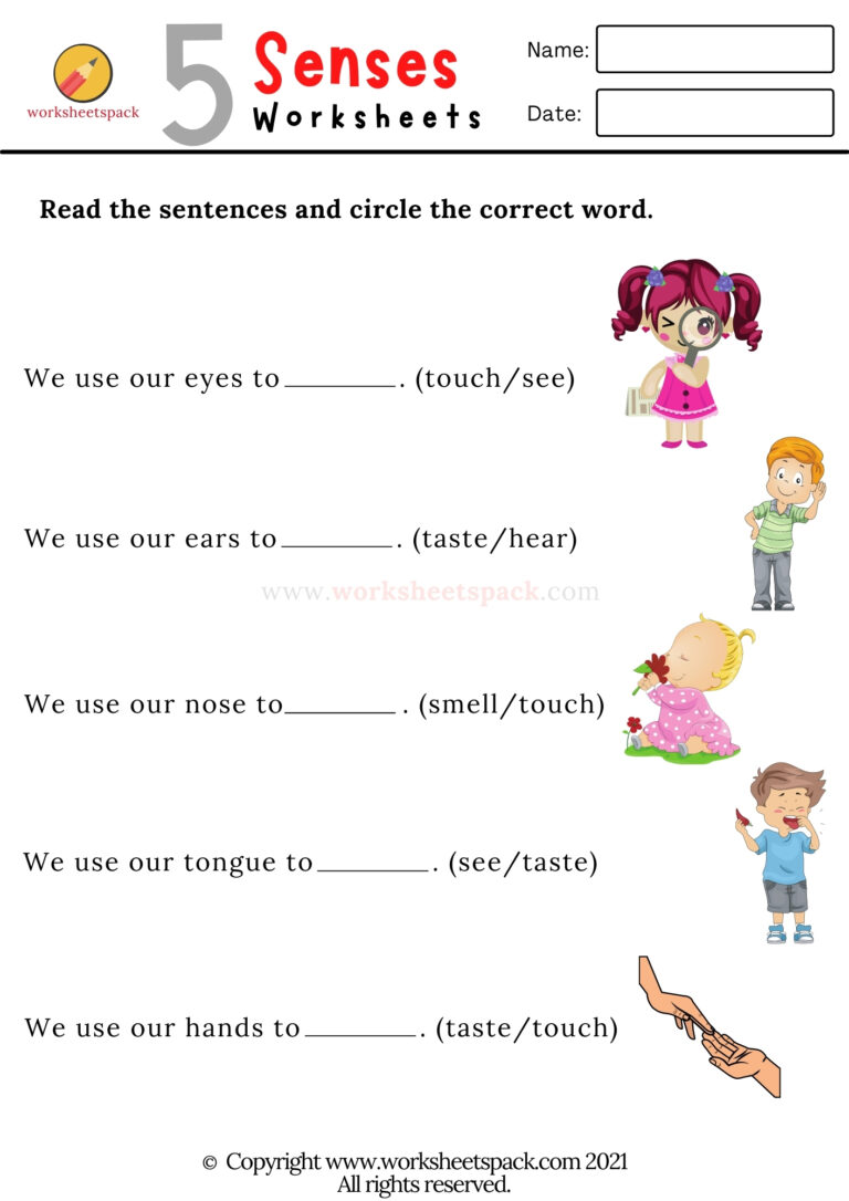 The 5 senses worksheets - worksheetspack