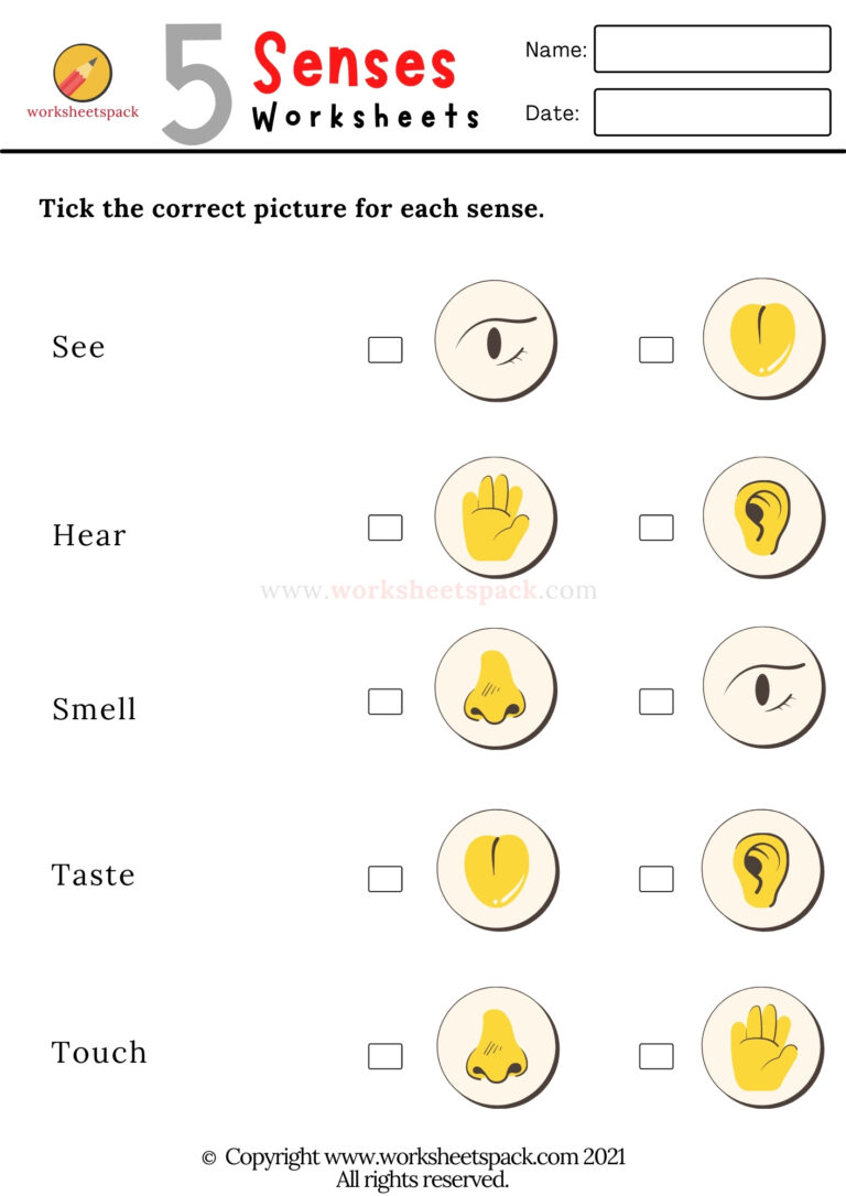 The 5 senses worksheets - worksheetspack