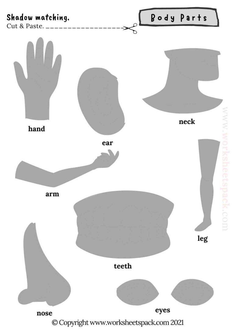 Body parts activities for preschoolers - worksheetspack