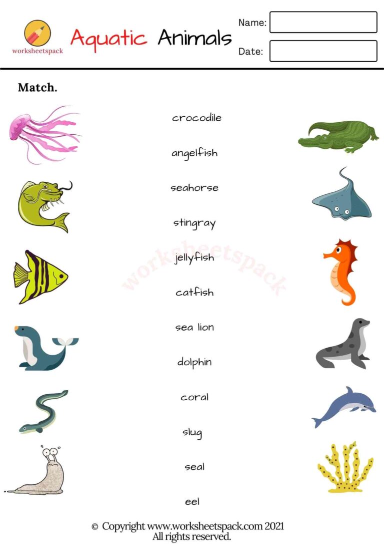 Aquatic Animals Worksheets PDF - worksheetspack