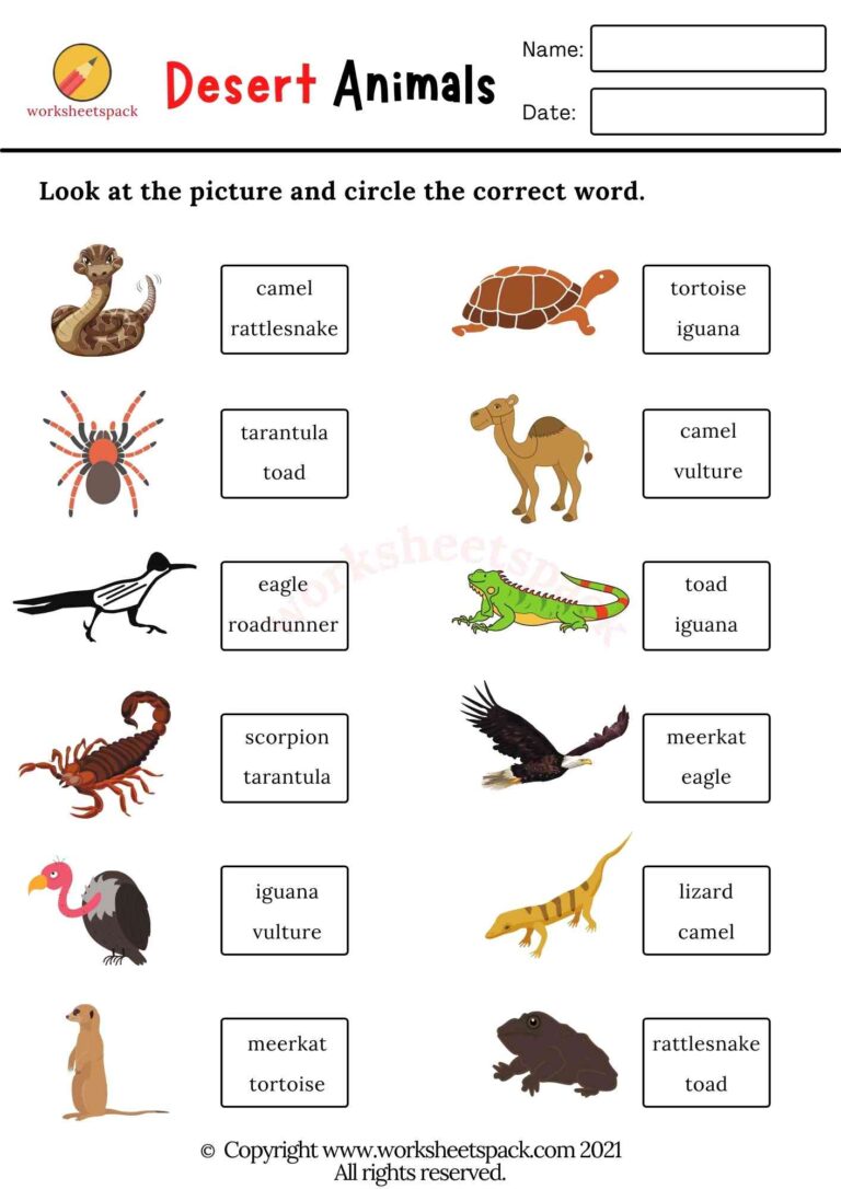 Free Winter Clothes Worksheets PDF - worksheetspack
