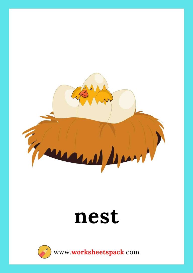 Free Spring Flashcards PDF - worksheetspack