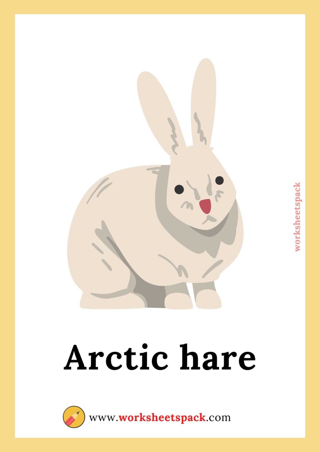 Arctic Animal Flashcards for Kids - worksheetspack